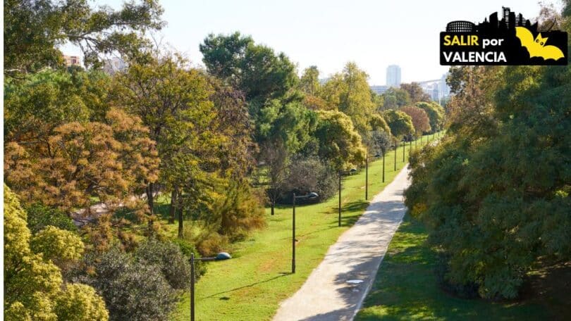 El Jardín del Turia: el oasis urbano de Valencia